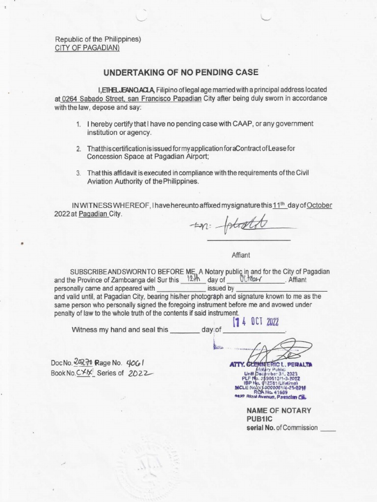 Affidavit of No Pending Case | PDF