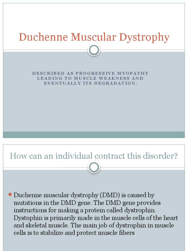 Duchenne | PDF | Skeletal Muscle | Muscular Dystrophy