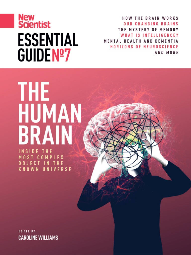 New Scientist Essential Guide - No7 - The Human Brain | PDF | Neuron ...