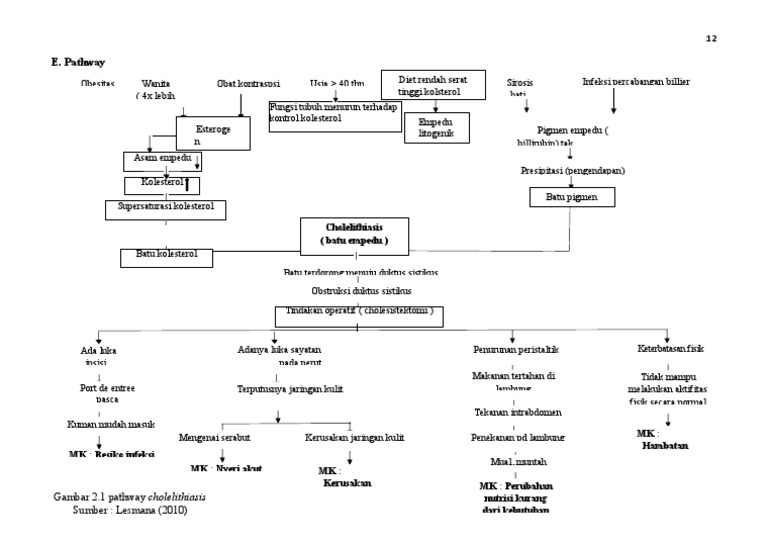 Pathway Cholelithiasis | PDF