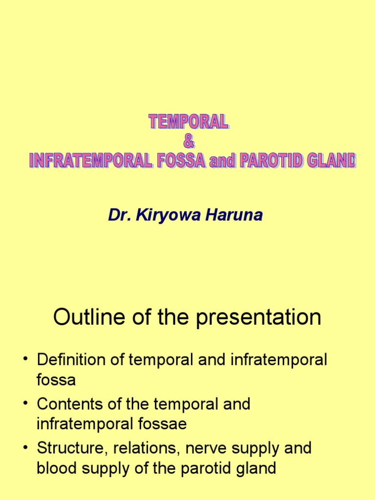 Temporal and Infratemporal Fossa Plus Parotid Gland | PDF