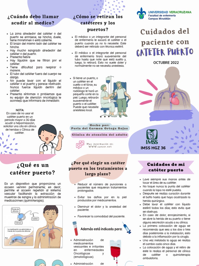 Triptico - Cuidados Al Paciente Con Catéter Puerto | PDF
