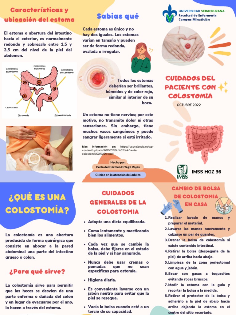 Cuidados Esenciales de Colostomía | PDF | Tracto gastrointestinal ...