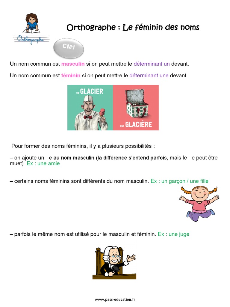 Lecon Le Feminin Des Noms 4eme Primaire PDF | PDF