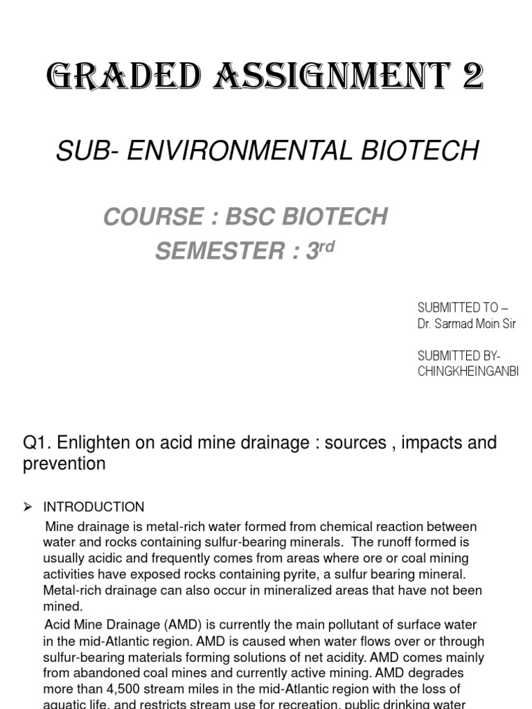 Graded Assignment 2 | PDF