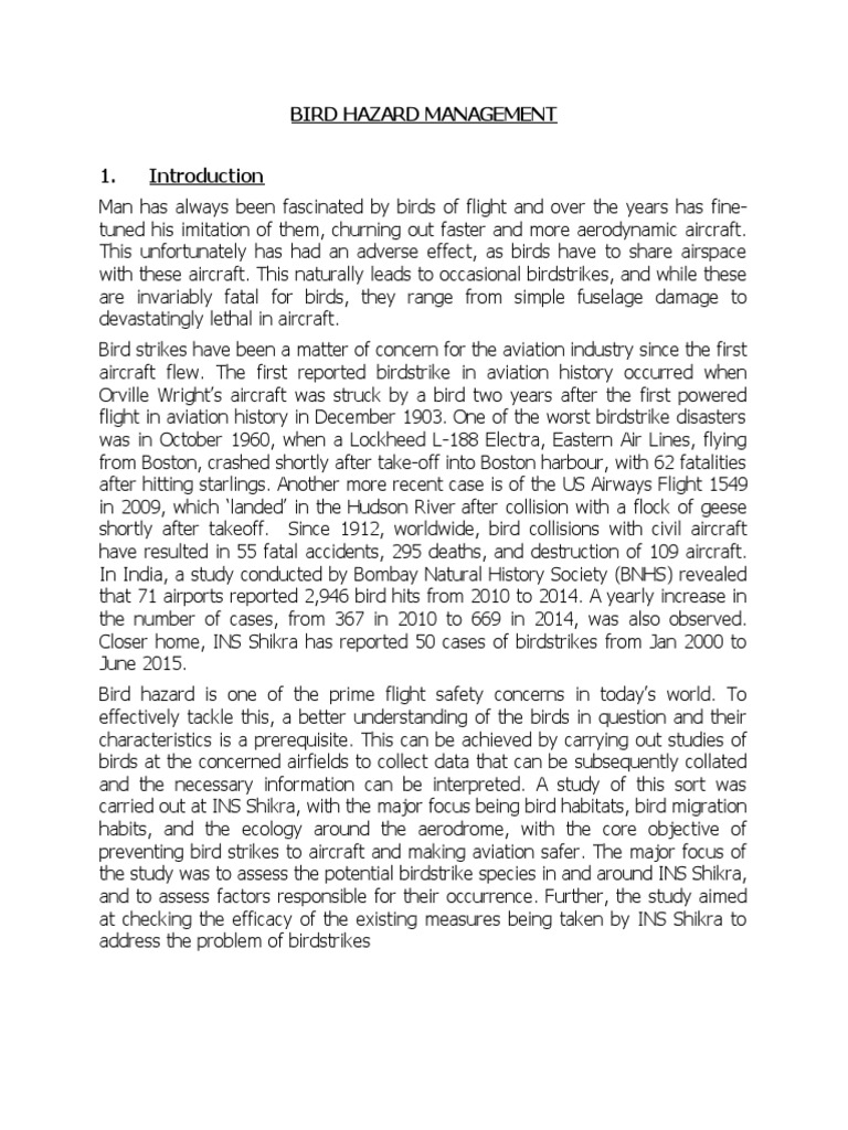 Bird Hazard Management | PDF | Birds | Ornithology