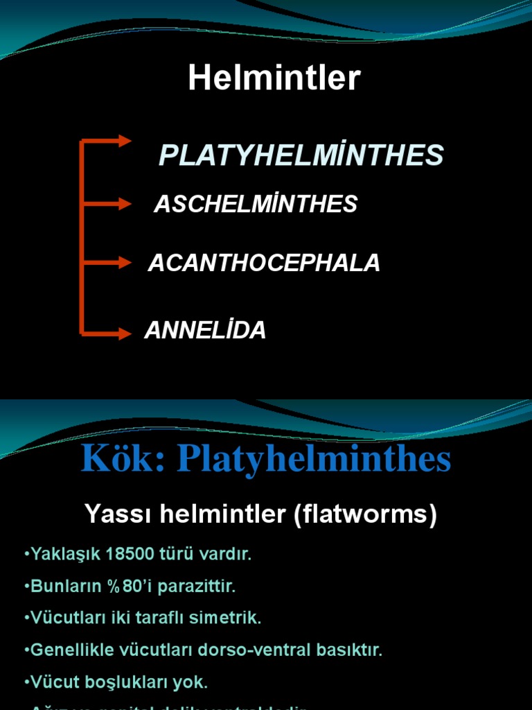 Ankara Helmint 1 | PDF