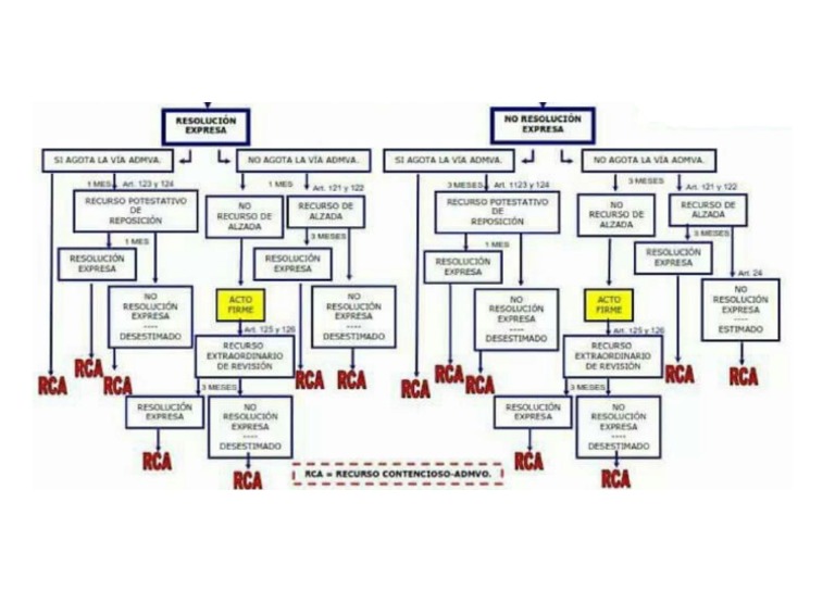 Esquema Procedimiento Administrativo-2 | PDF
