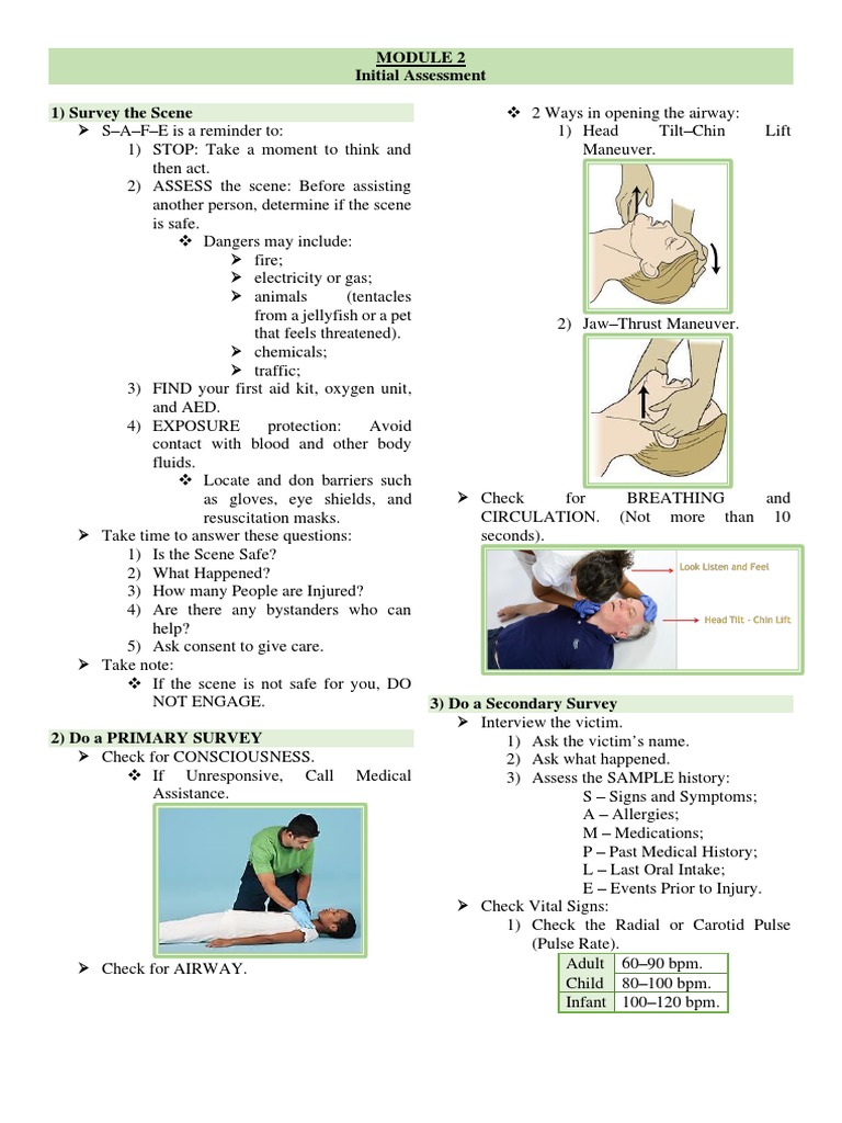 First Aid Scene Assessment Guide | PDF | Medical Emergencies | Health ...