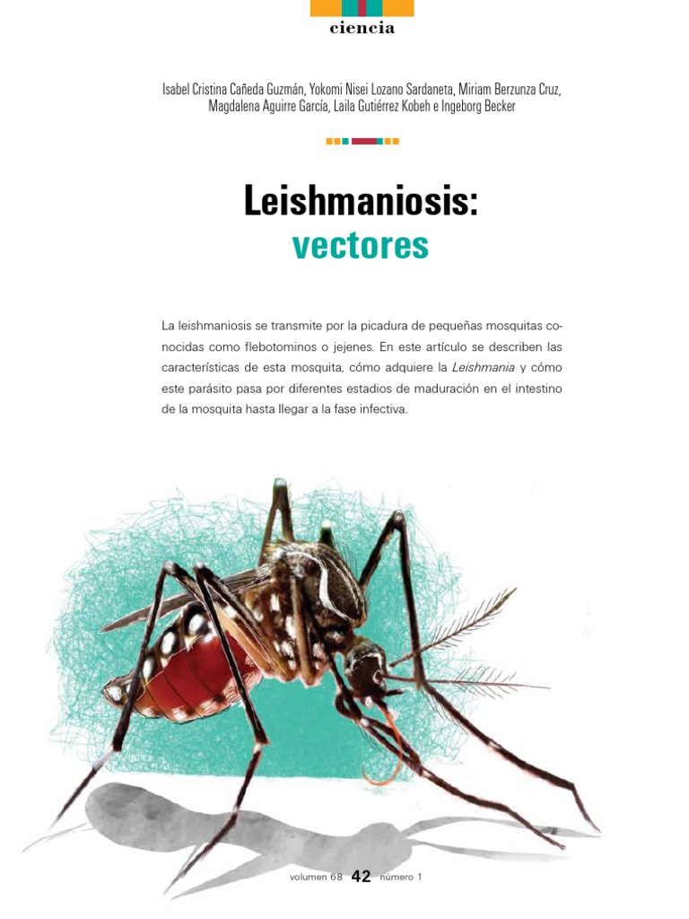 Leishmaniosis Vectores | PDF | Leishmania | Insectos