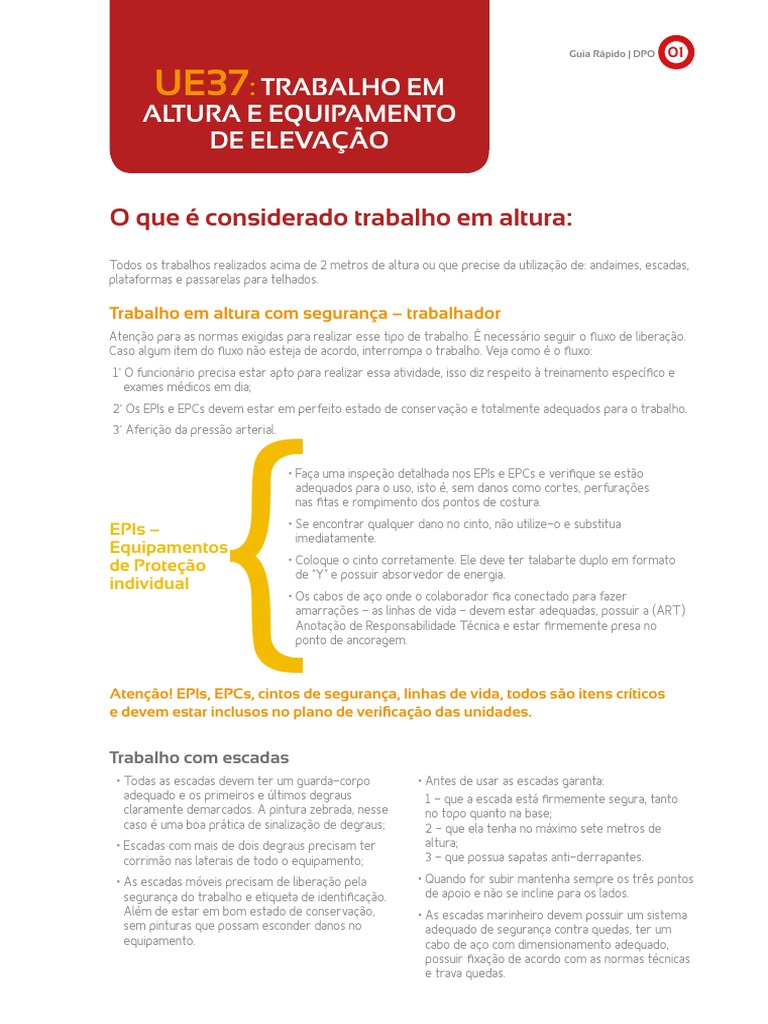 Guia Rapido Dpo Ambev P3 Ue37 | PDF