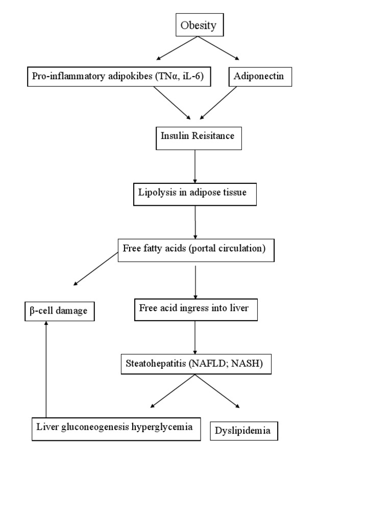 Patofisiologi dislipidemia | PDF