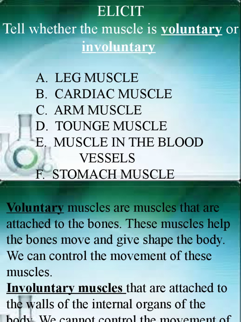 Grade 4 PPT - Science - Q2 - Bones That Protect The Internal Organs | PDF