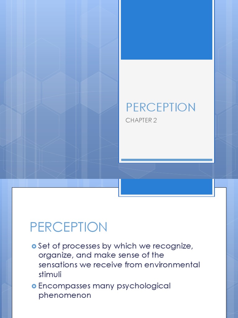 Chapter 3 Perception | Download Free PDF | Perception | Visual System