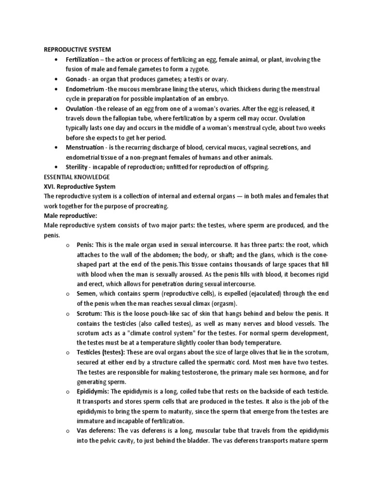 Reproductive System | PDF