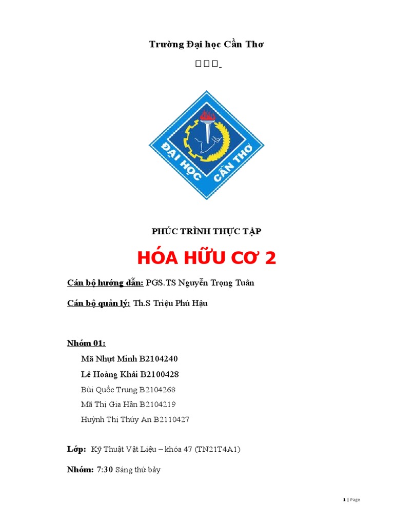 Bao Cao TT HHC | PDF