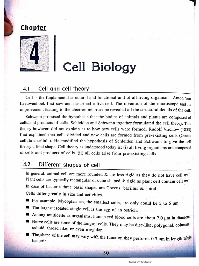 Cell Biology | PDF