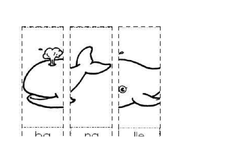 Ballena Pdf
