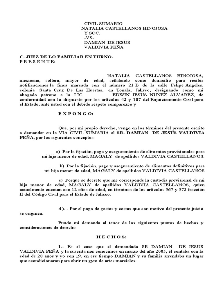Demanda de Alimentos | PDF | Demanda judicial | Justicia