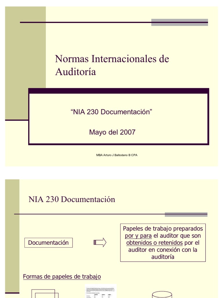 NIA 230 - Documentación