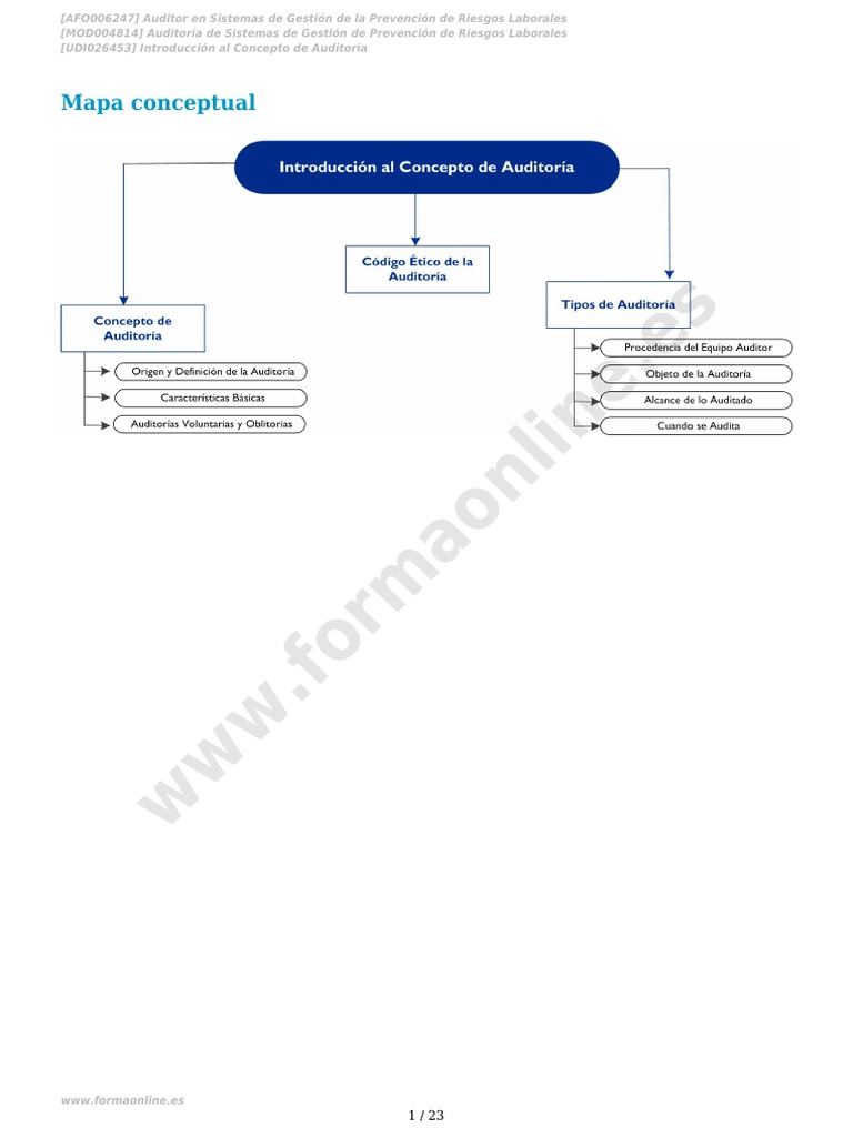 Introducción Al Concepto de Auditoría | PDF Introducción Al Concepto de Auditoría | PDF