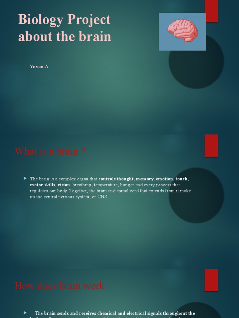 Biology Project | PDF