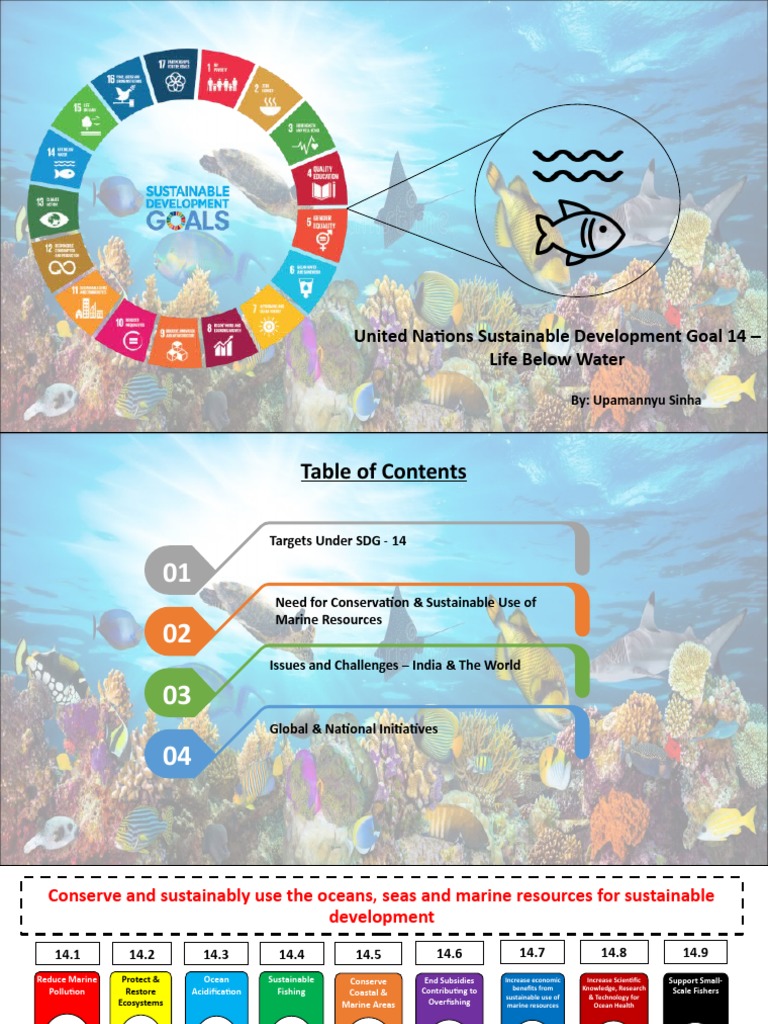 Life Below Water | PDF | Oceans | Overfishing