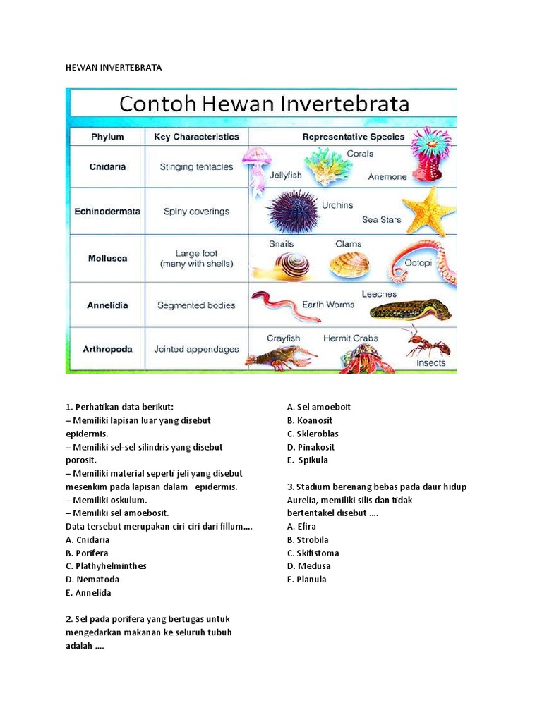 Hewan Invertebrata Kelas 10 | PDF