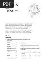 IV Medication Solution Compatibility Chart For Nurses | PDF | Saline ...
