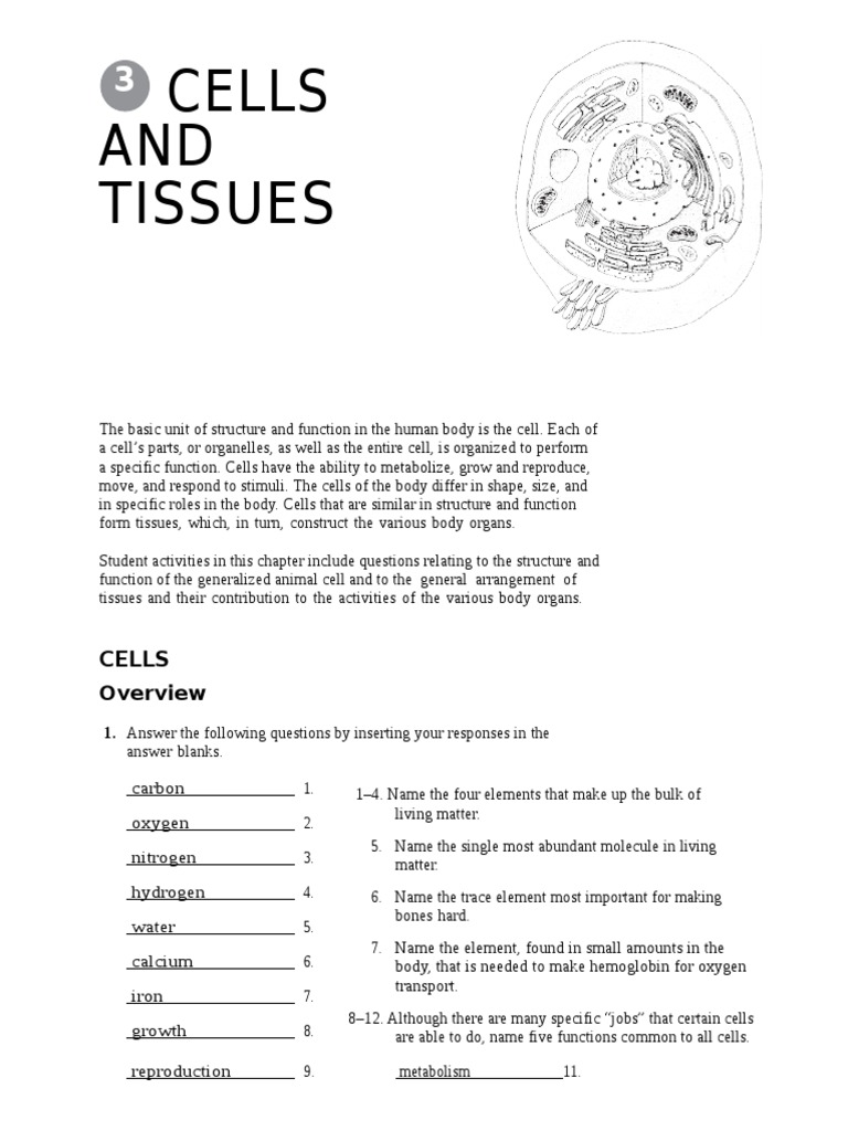 Cells and Tissues | PDF | Dna | Endoplasmic Reticulum