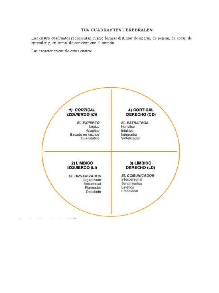 Test de Cuadrantes Cerebrales | PDF | Prueba (evaluación) | Cognición