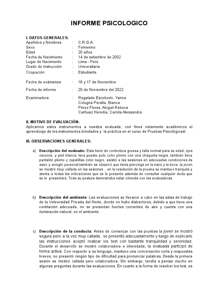 Informe - Integrado Pruebas I | PDF