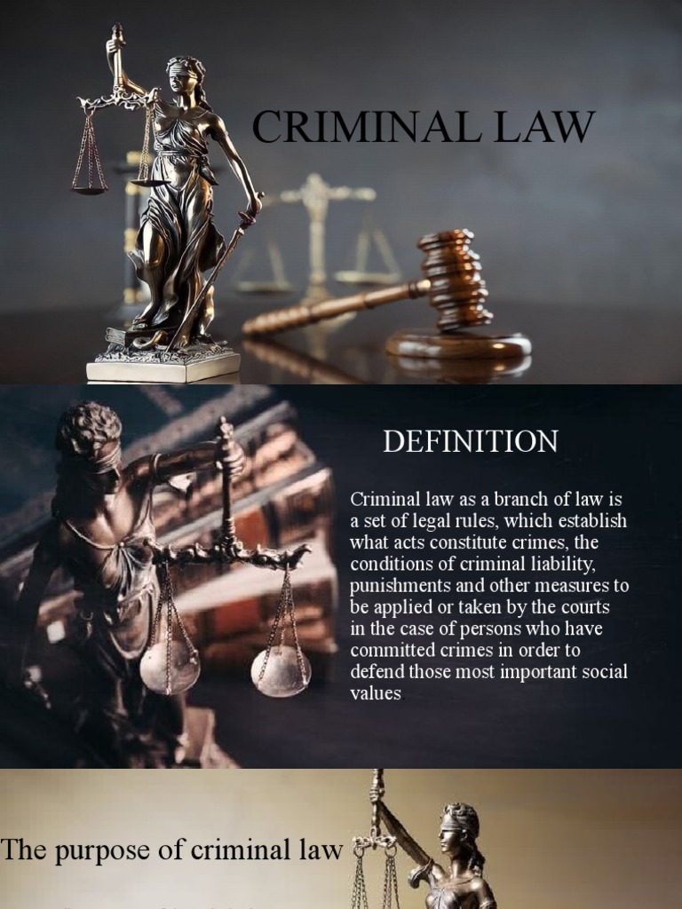 Criminal Law | PDF | Prison | Crime & Violence