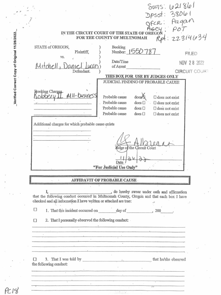 Affidavit of Probable Cause: Mitchell | PDF