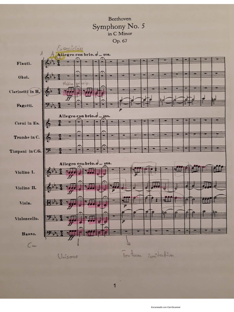 Primer Mov, 5 Sinfonía Beethoven Analizado | PDF