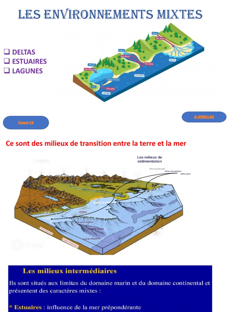 Deltas, Estuaires et Lagunes en Géographie | PDF | Delta (hydrologie ...