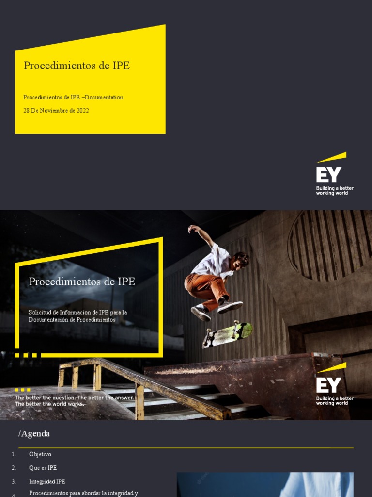 Procedimientos de IPE | PDF | Auditoría | Software