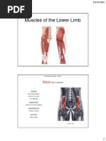 Understanding Joint End Feel Types | PDF | Elbow | Anatomical Terms Of ...