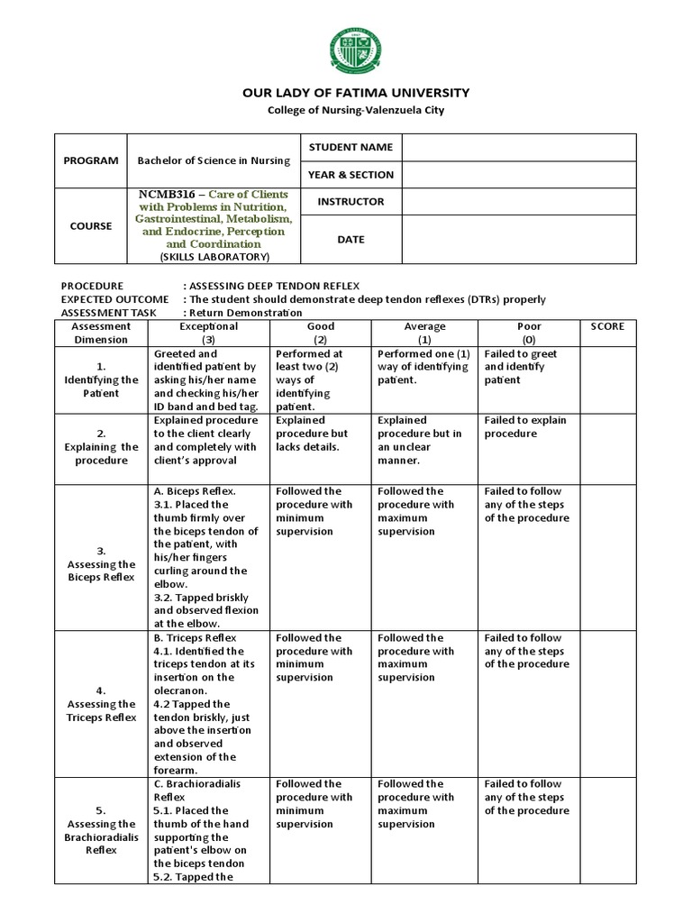 Deep Tendon Reflex Assessment Guide | PDF | Anatomical Terms Of Motion ...