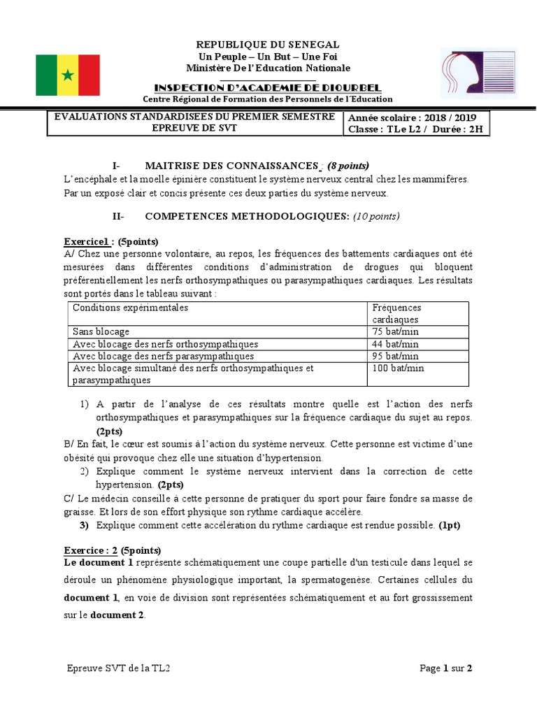 Épreuve SVT Terminale L2 2018-2019 | PDF | Nerf | Système nerveux