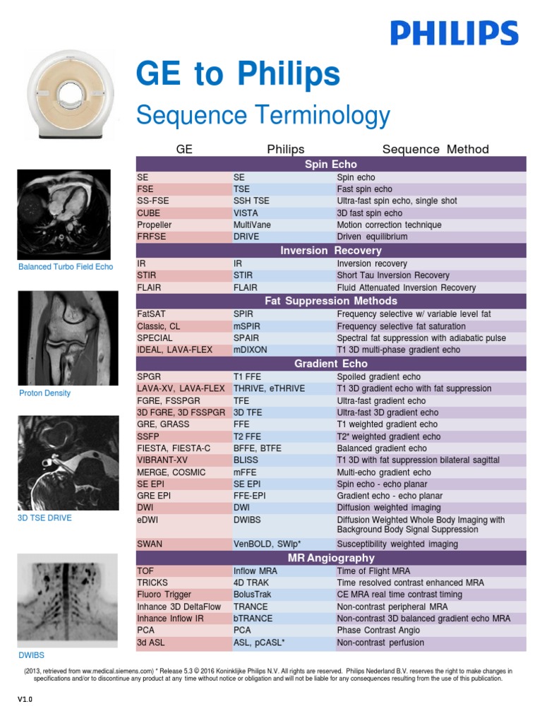 GE, Siemens, PhilipsTerminology Referemce Card | PDF | Medical Tests ...