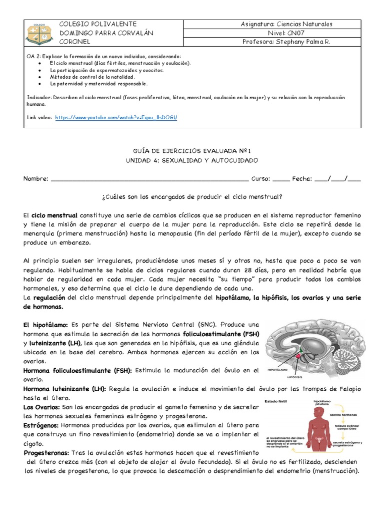Guía de Ejercicios Evaluada CN07 T3 Sexualidad y Reproducción | PDF | Ciclo menstrual | Ovario