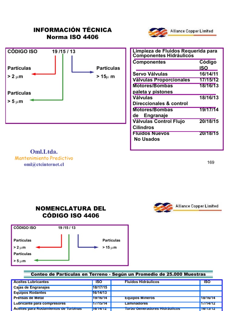 Norma ISO 4406 (169-173) | PDF | Informática