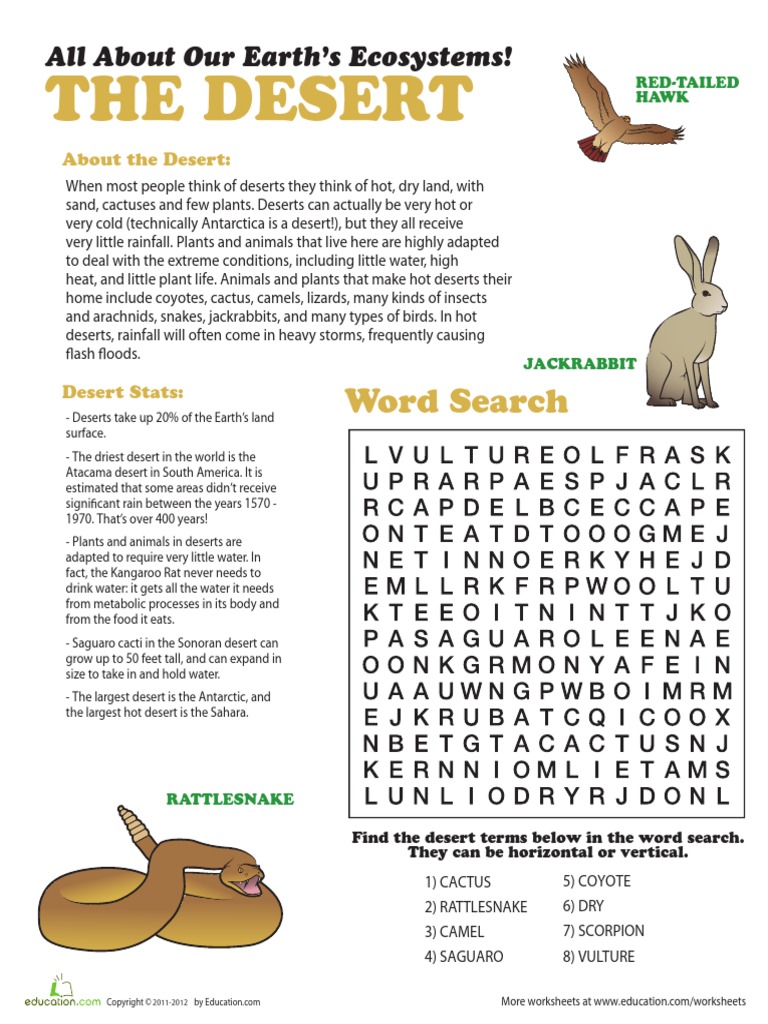 Desert Ecosystem | PDF | Desert | Earth Sciences