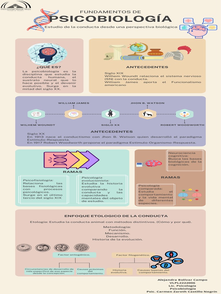 Infografia de Fundamentos de Psicobiología | PDF | Neurociencia ...