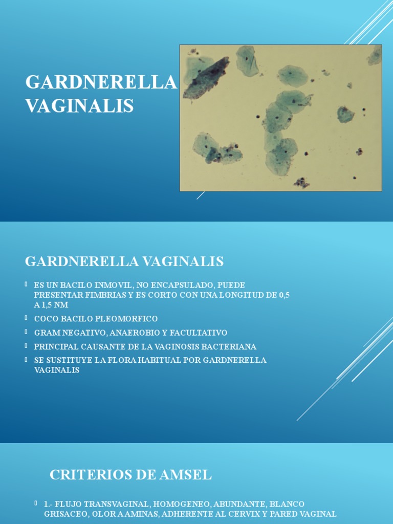 Gardnerella Vaginalis | PDF
