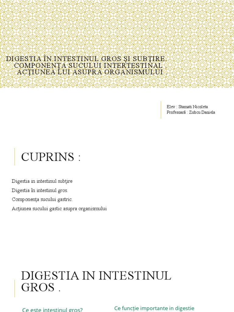 Digestia | PDF