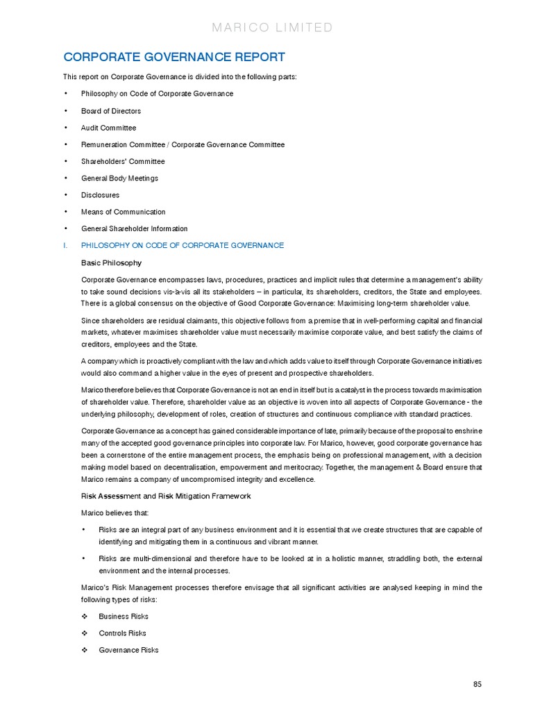 11 Corporate Governance Report | PDF