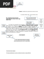 Formato Carta Liberación Prac Prof | PDF | Medicina | Gobierno