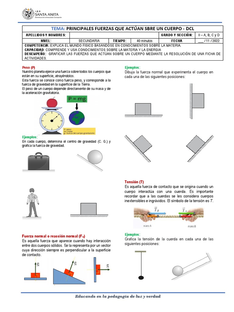 Ficha de Actividades - DCL | PDF | Fuerza | Peso